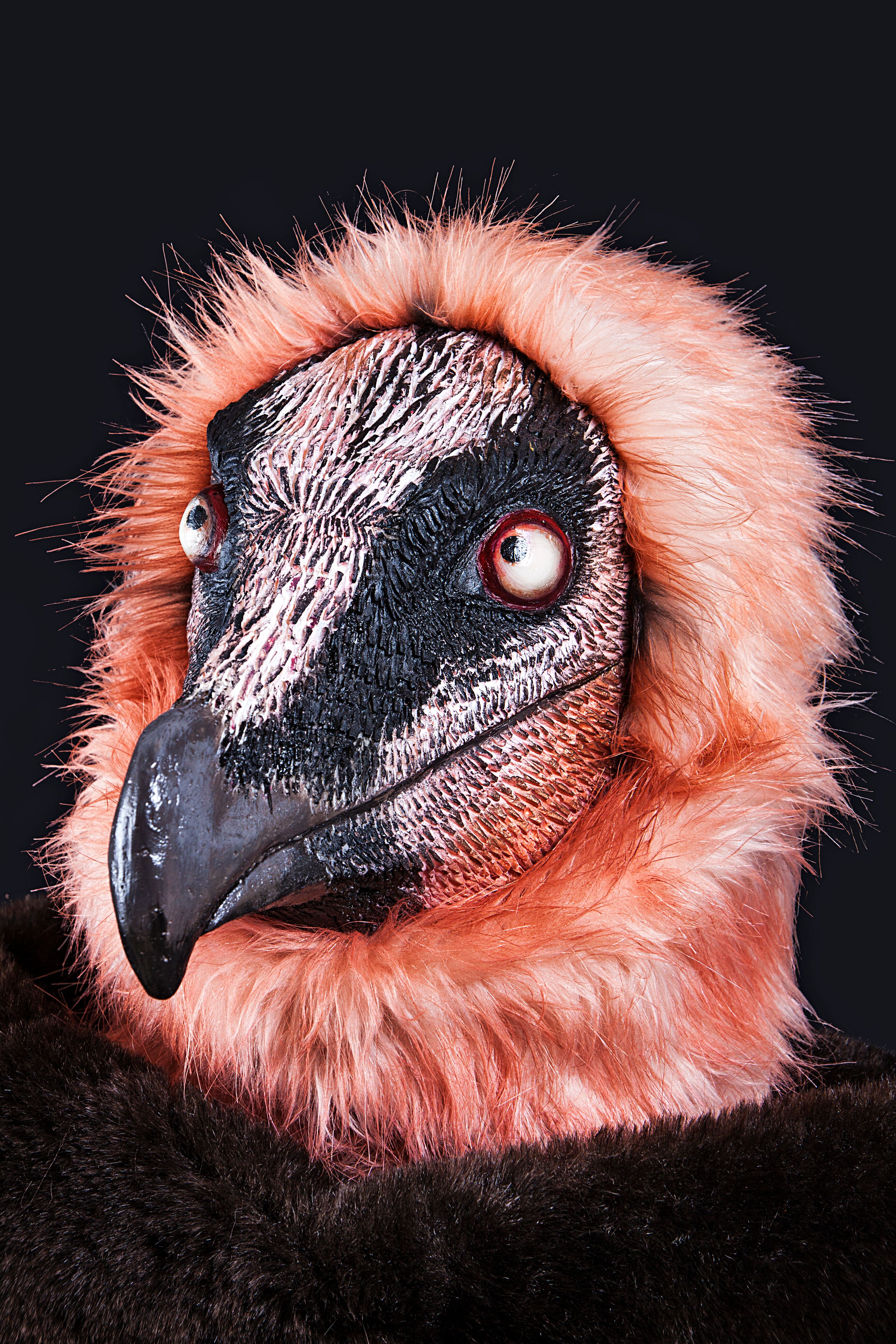 Beak Prosthetic Makeup | Saubhaya Makeup